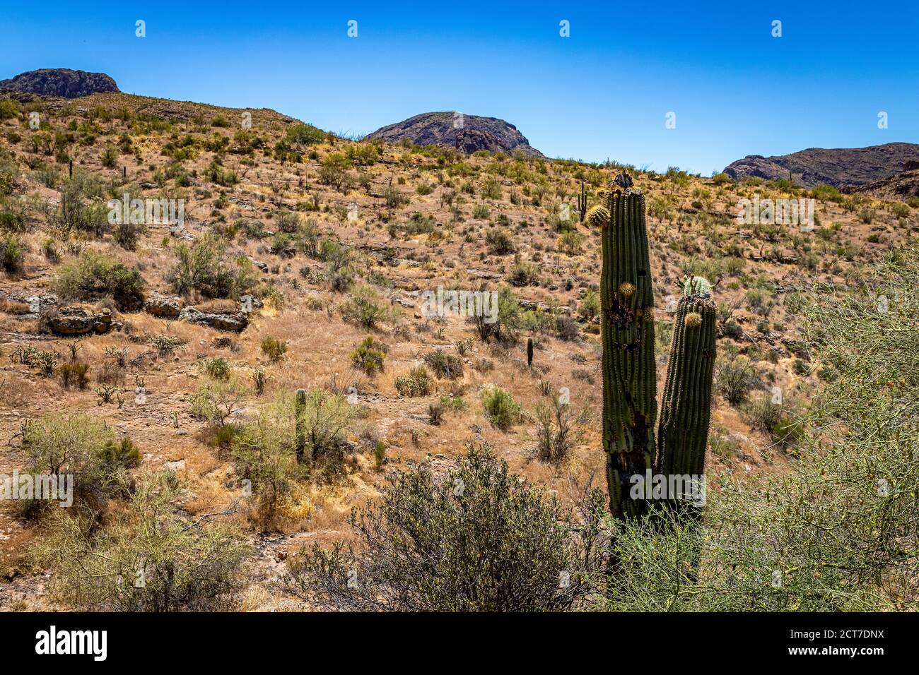 Apache Trail Scenic Drive Stock Photo - Alamy