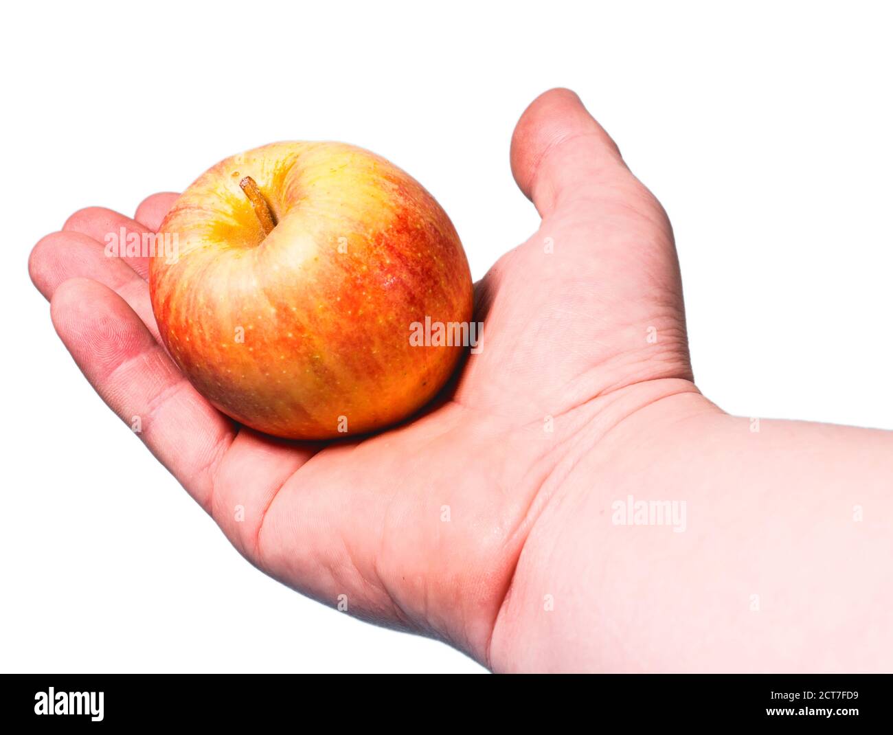 The yellow apple with red spots lies in a hand on a white background ...