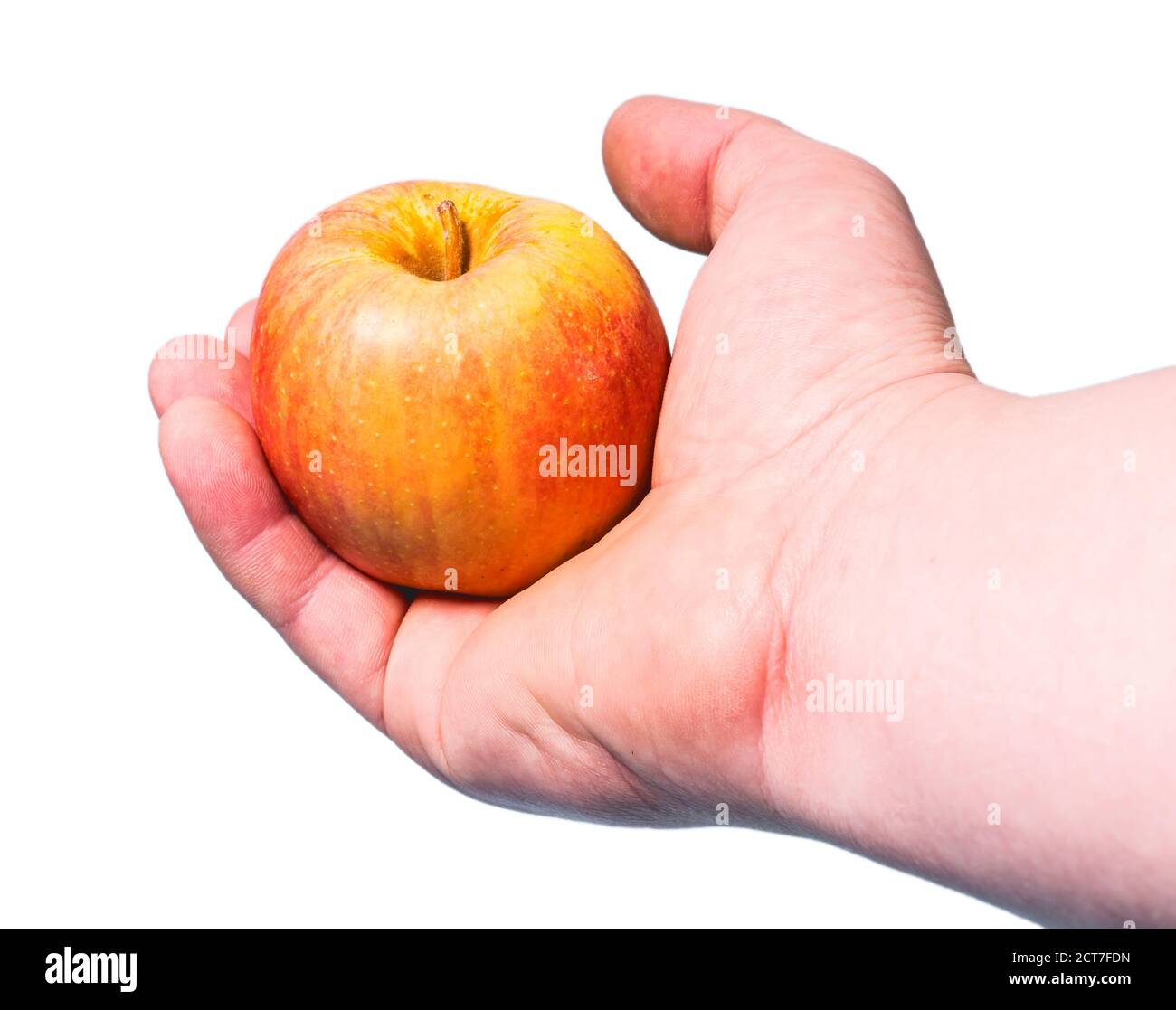 The yellow apple with red spots lies in a hand on a white background ...