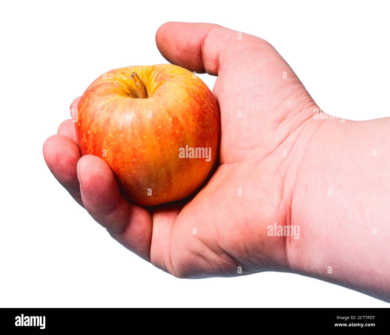 The yellow apple with red spots lies in a hand on a white background ...
