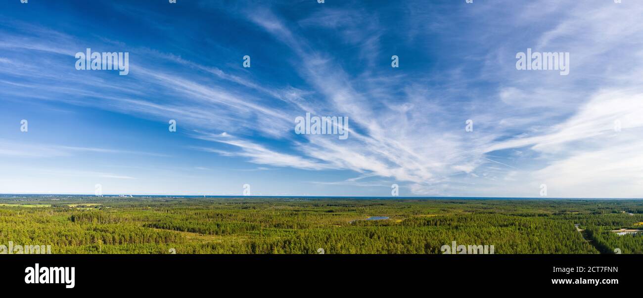 Breathtaking Aerial View of Endless Scandinavian green pine tree forest ...
