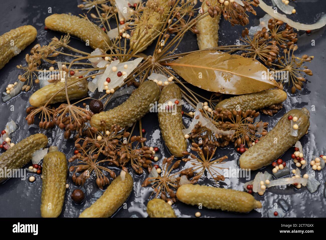 Extra Fine Cornichons - minuscule sour French pickles on natural stone ...