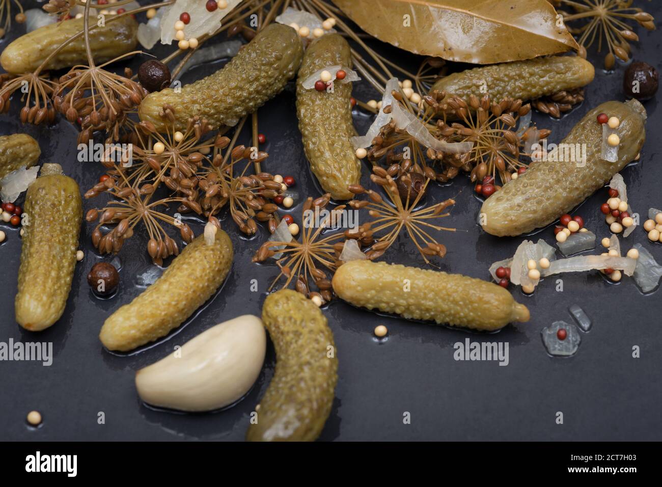 Extra Fine Cornichons - minuscule sour French pickles on natural stone ...