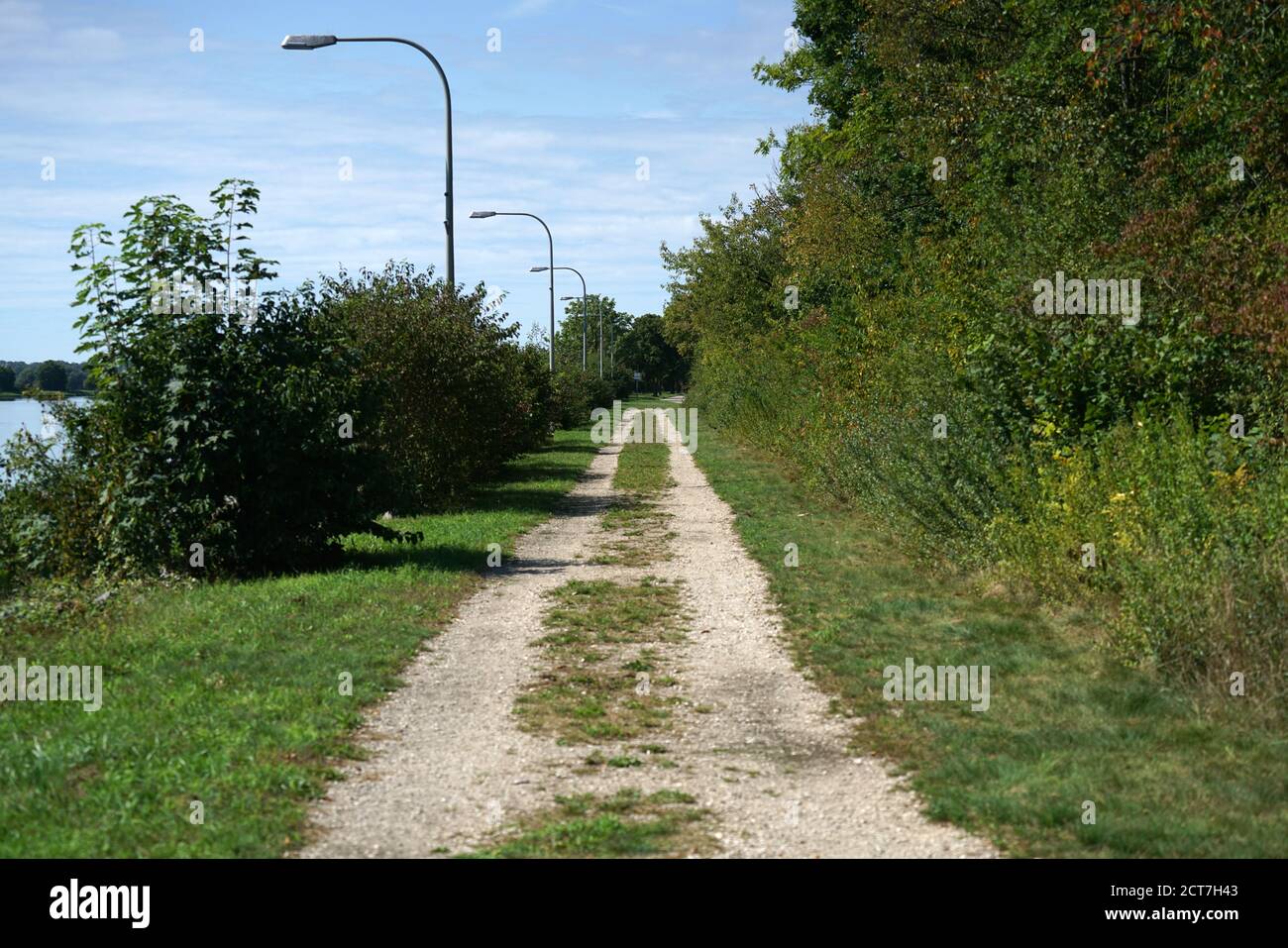 Narrow pathway surrounded by greenery at daytime Stock Photo - Alamy