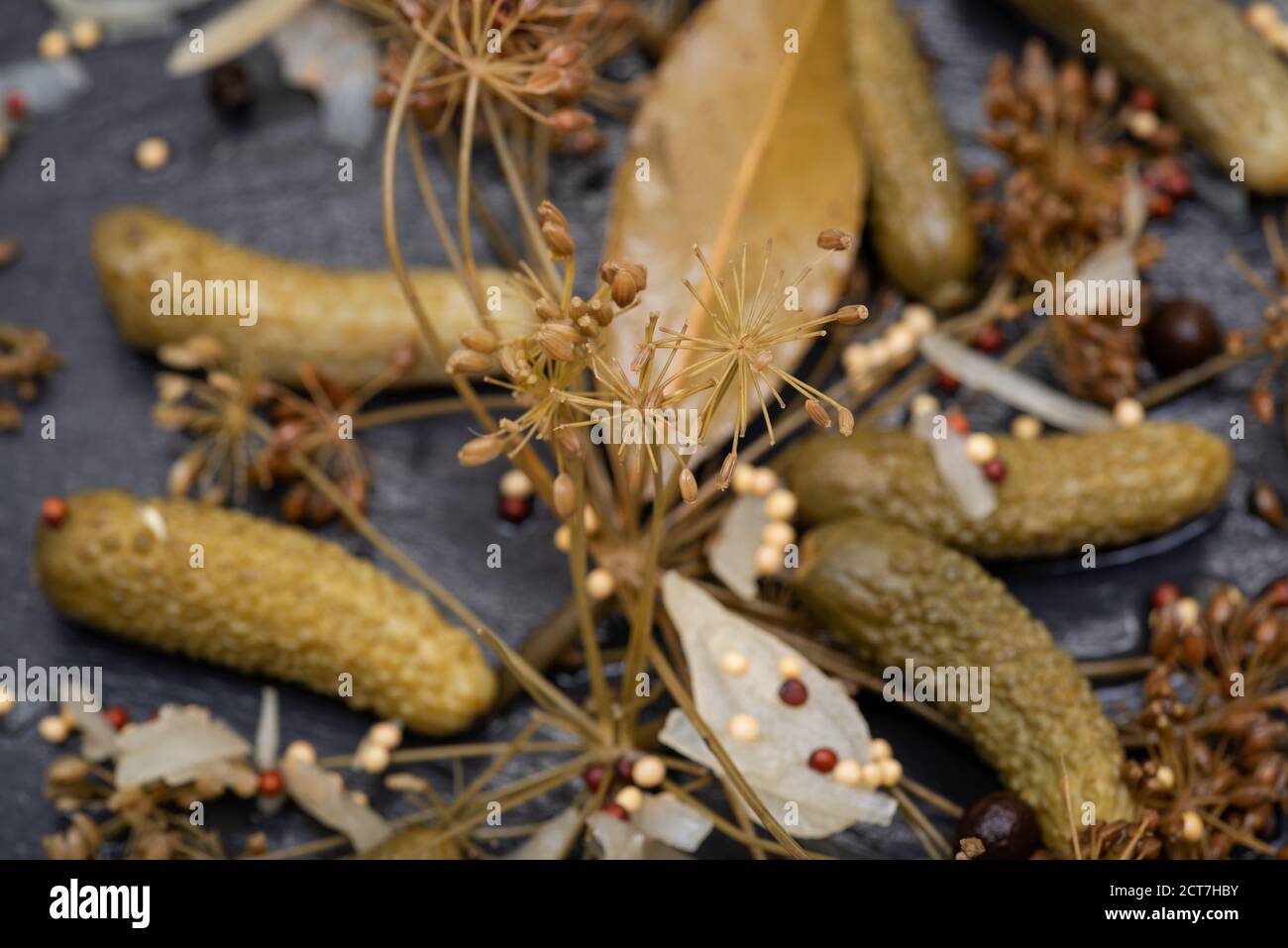 Extra Fine Cornichons - minuscule sour French pickles on natural stone ...