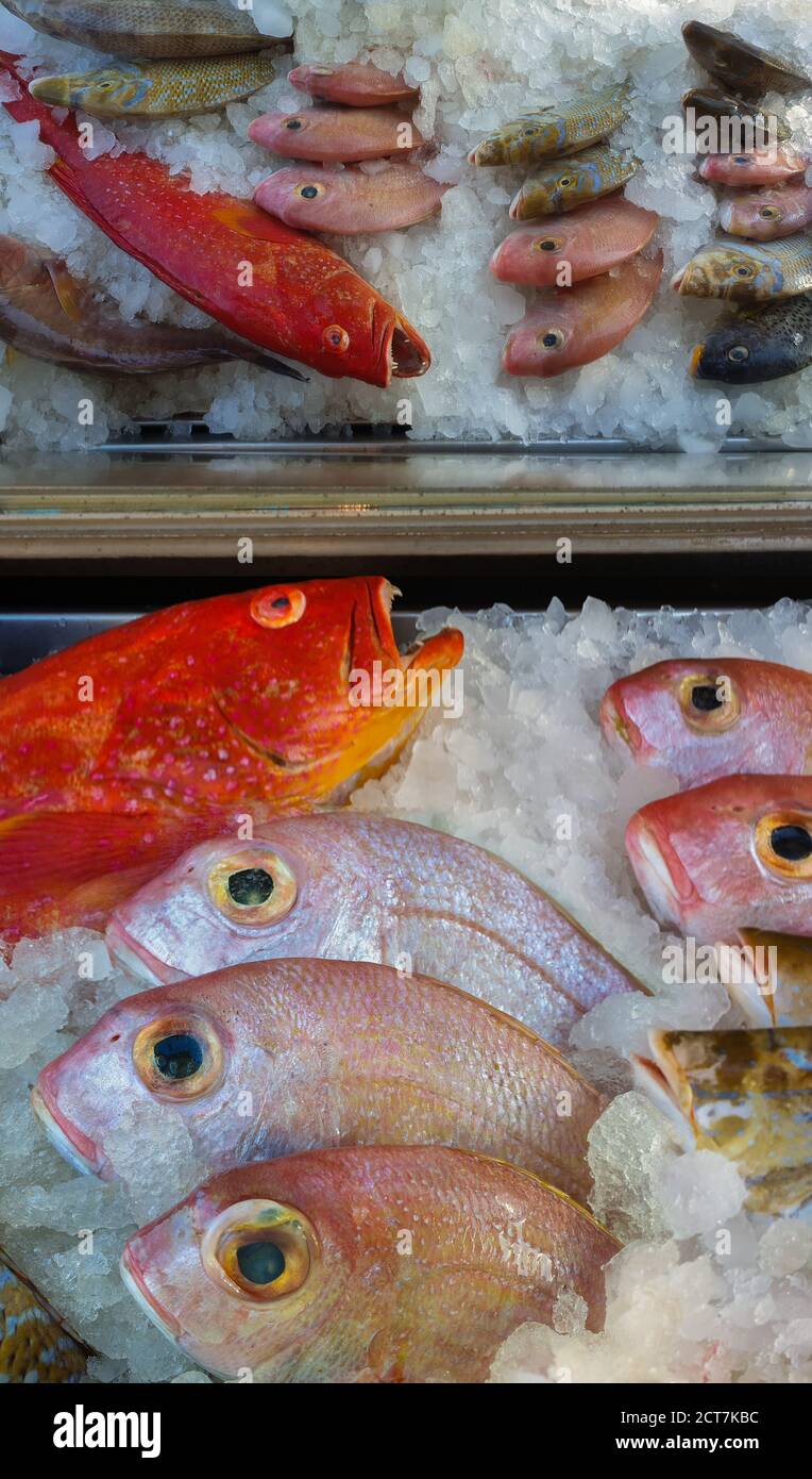 Fish dinner egypt hi-res stock photography and images - Alamy