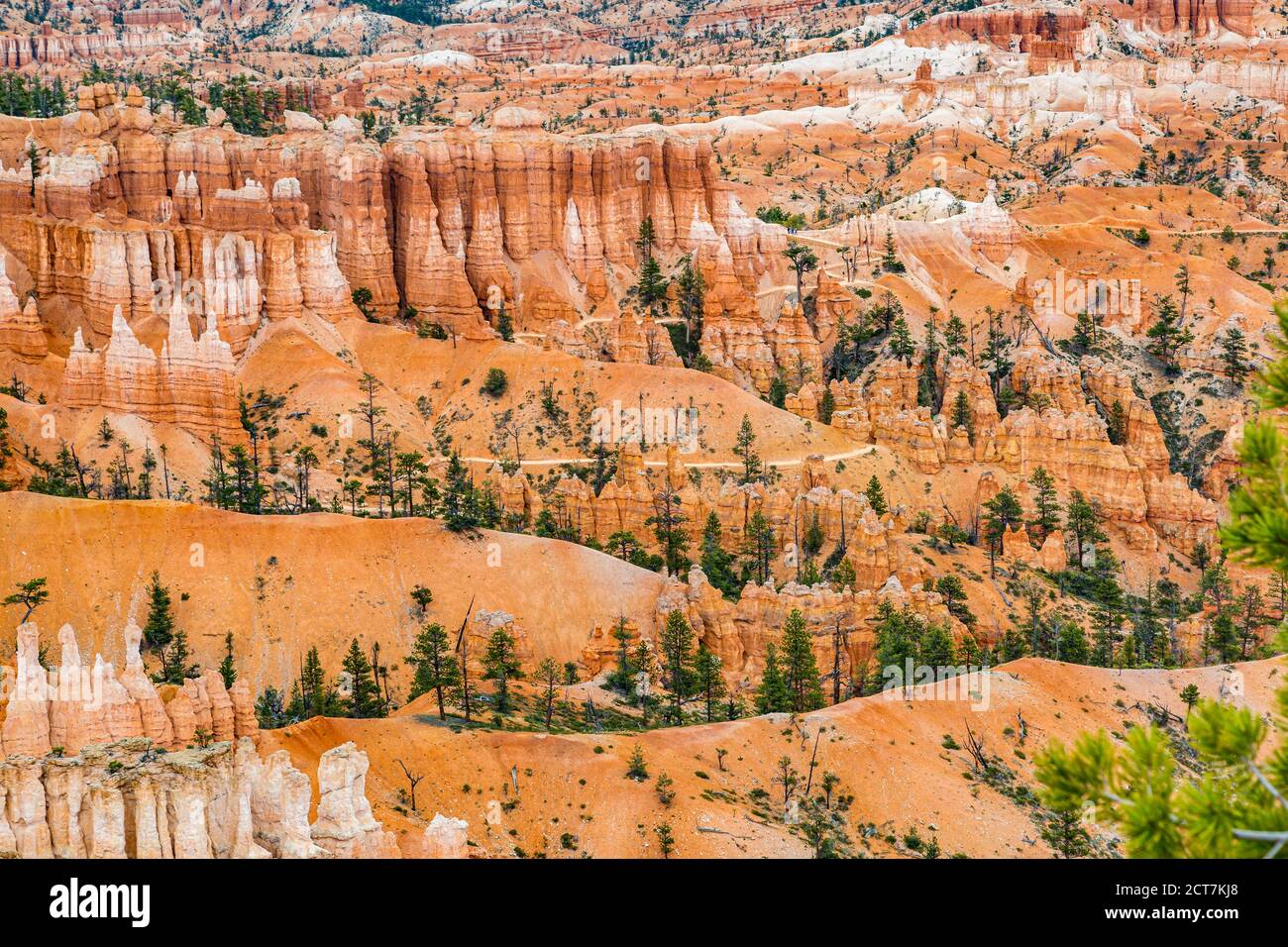 Sunset Point lookout in Bryce Canyon National Park in Utah Stock Photo ...