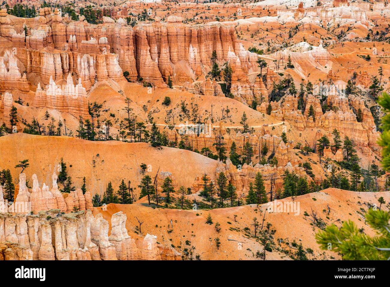 Sunset Point lookout in Bryce Canyon National Park in Utah Stock Photo ...