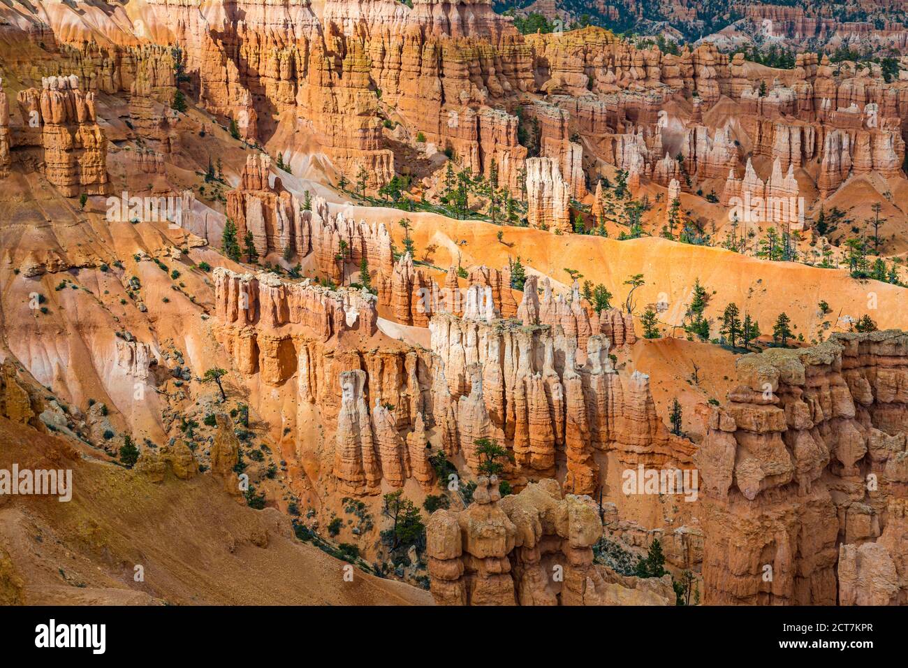 Sunset Point lookout in Bryce Canyon National Park in Utah Stock Photo ...