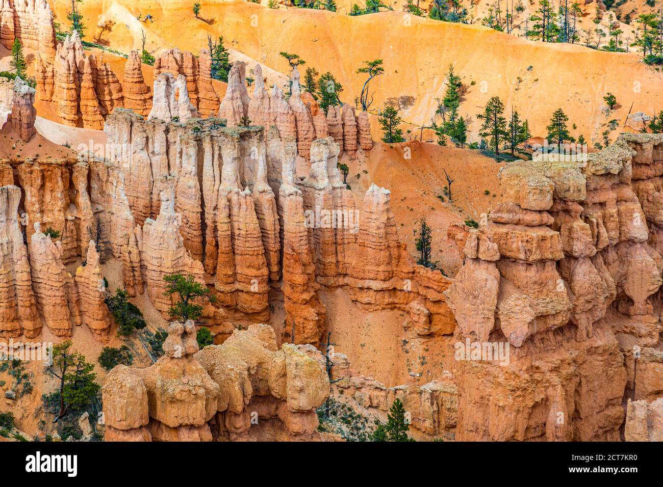 Sunset Point lookout in Bryce Canyon National Park in Utah Stock Photo ...