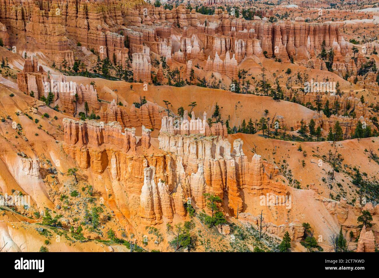 Sunset Point lookout in Bryce Canyon National Park in Utah Stock Photo ...