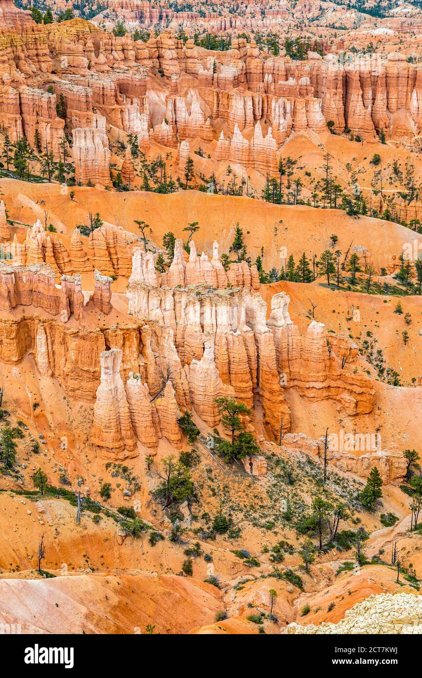 Sunset Point lookout in Bryce Canyon National Park in Utah Stock Photo ...