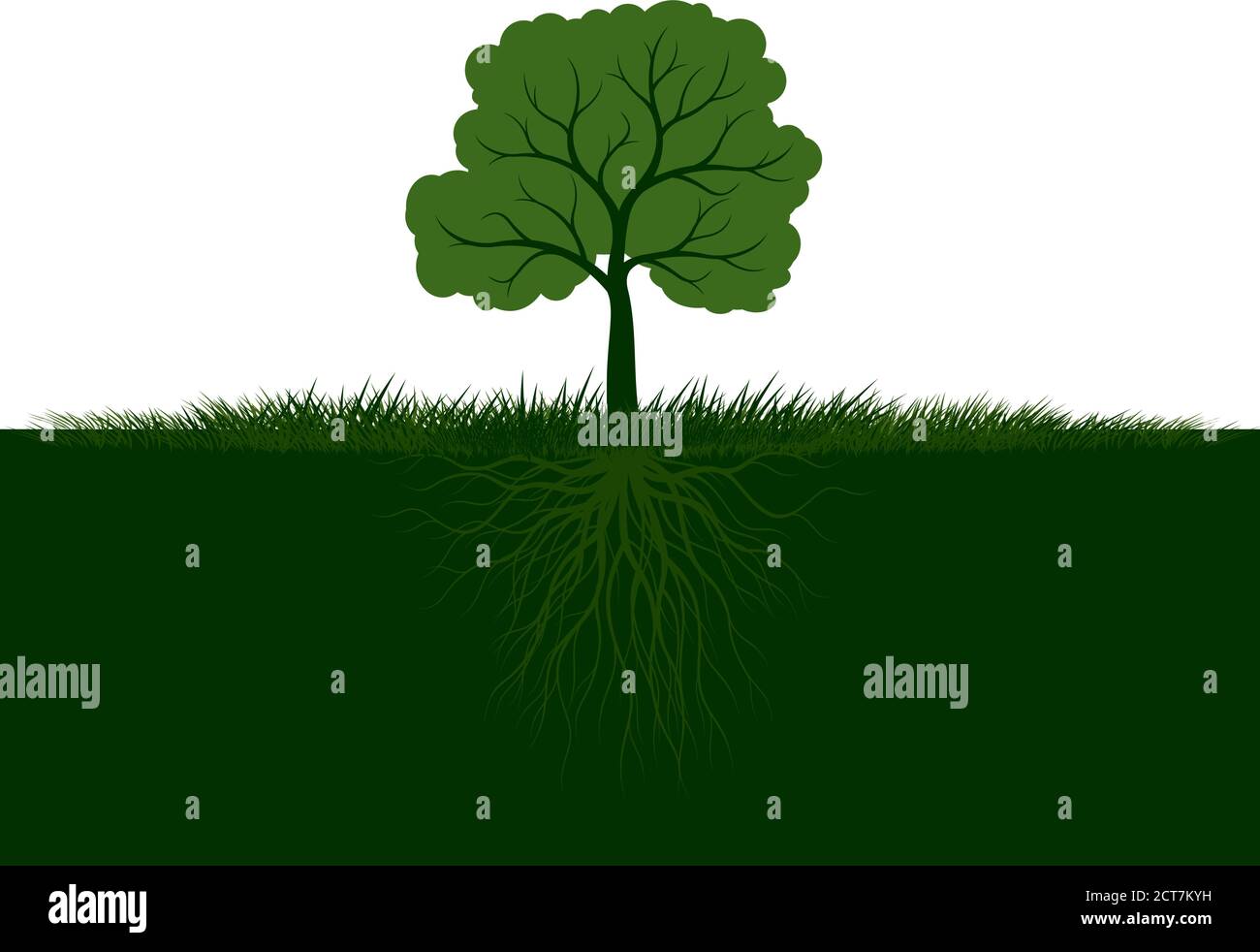 Shape of Tree. Vector outline Illustration with empty space for text ...