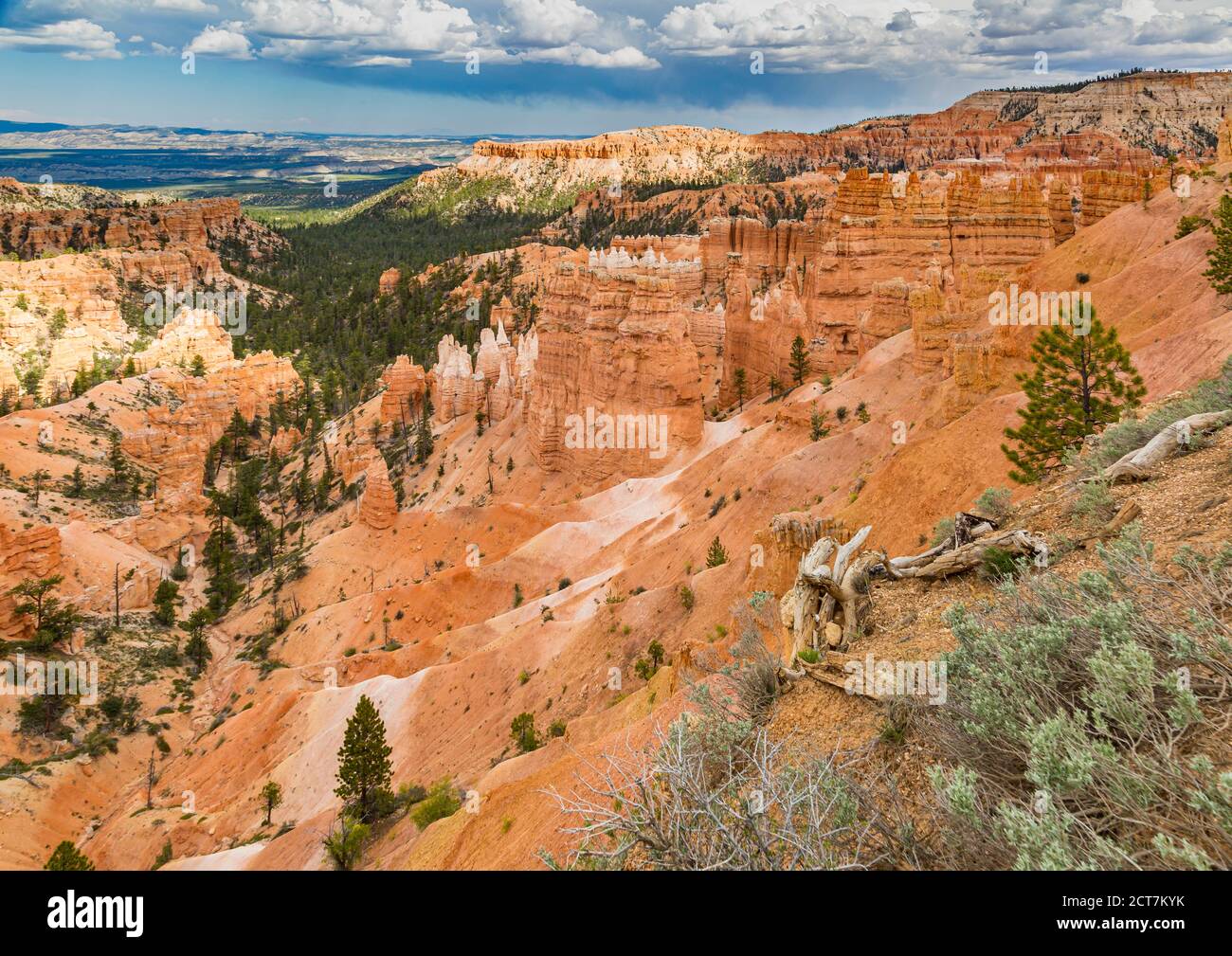 Sunset Point lookout in Bryce Canyon National Park in Utah Stock Photo ...