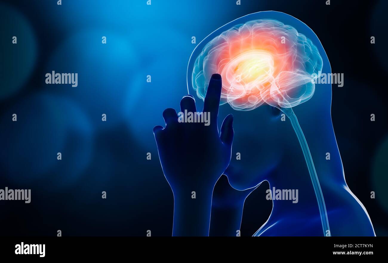 Human hands touching brain hi-res stock photography and images - Alamy