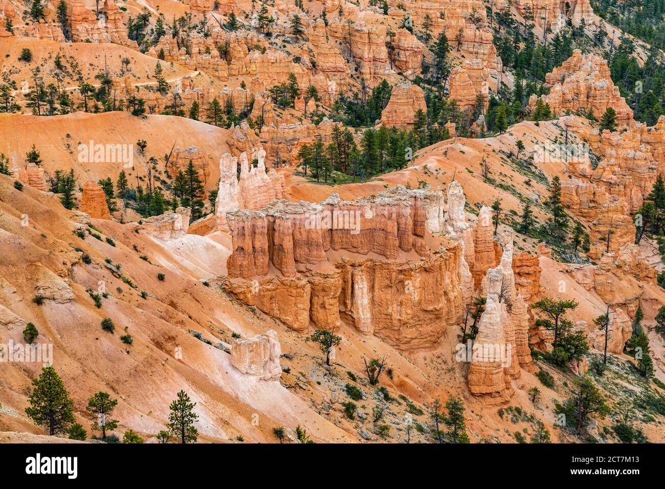 Sunset Point lookout in Bryce Canyon National Park in Utah Stock Photo ...