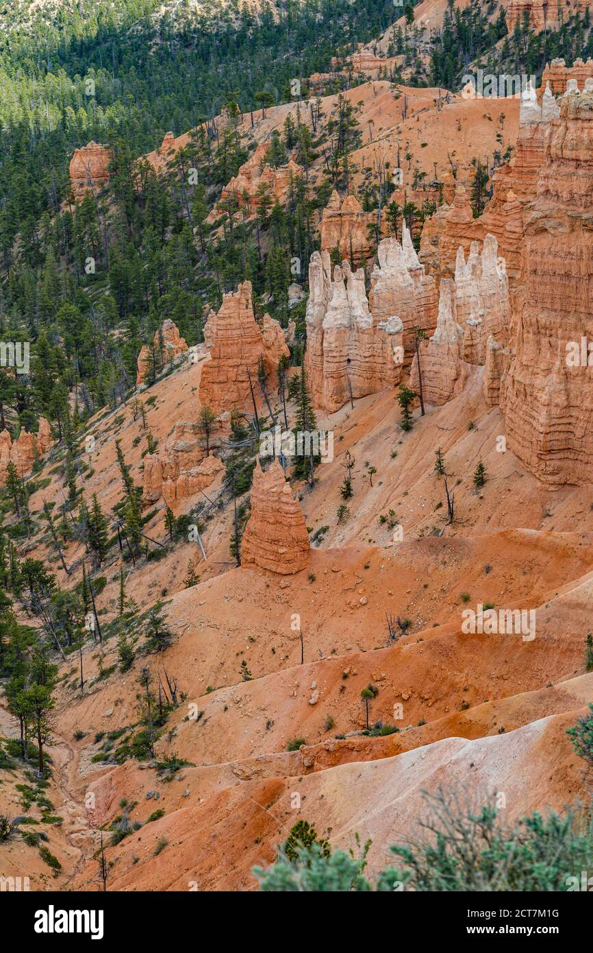 Sunset Point lookout in Bryce Canyon National Park in Utah Stock Photo ...