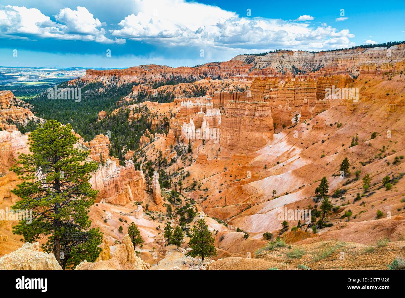 Sunset Point lookout in Bryce Canyon National Park in Utah Stock Photo ...