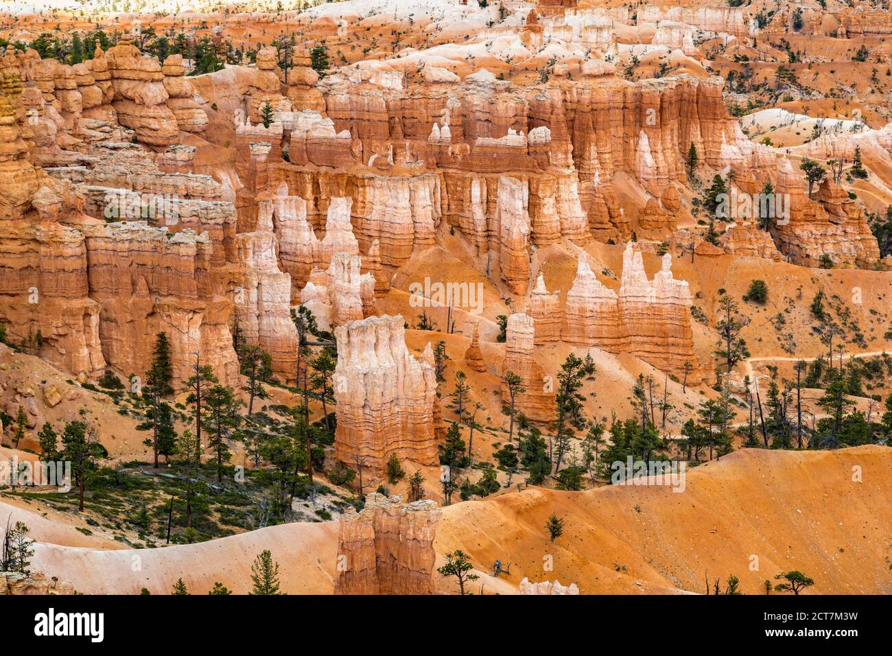 Sunset Point lookout in Bryce Canyon National Park in Utah Stock Photo ...