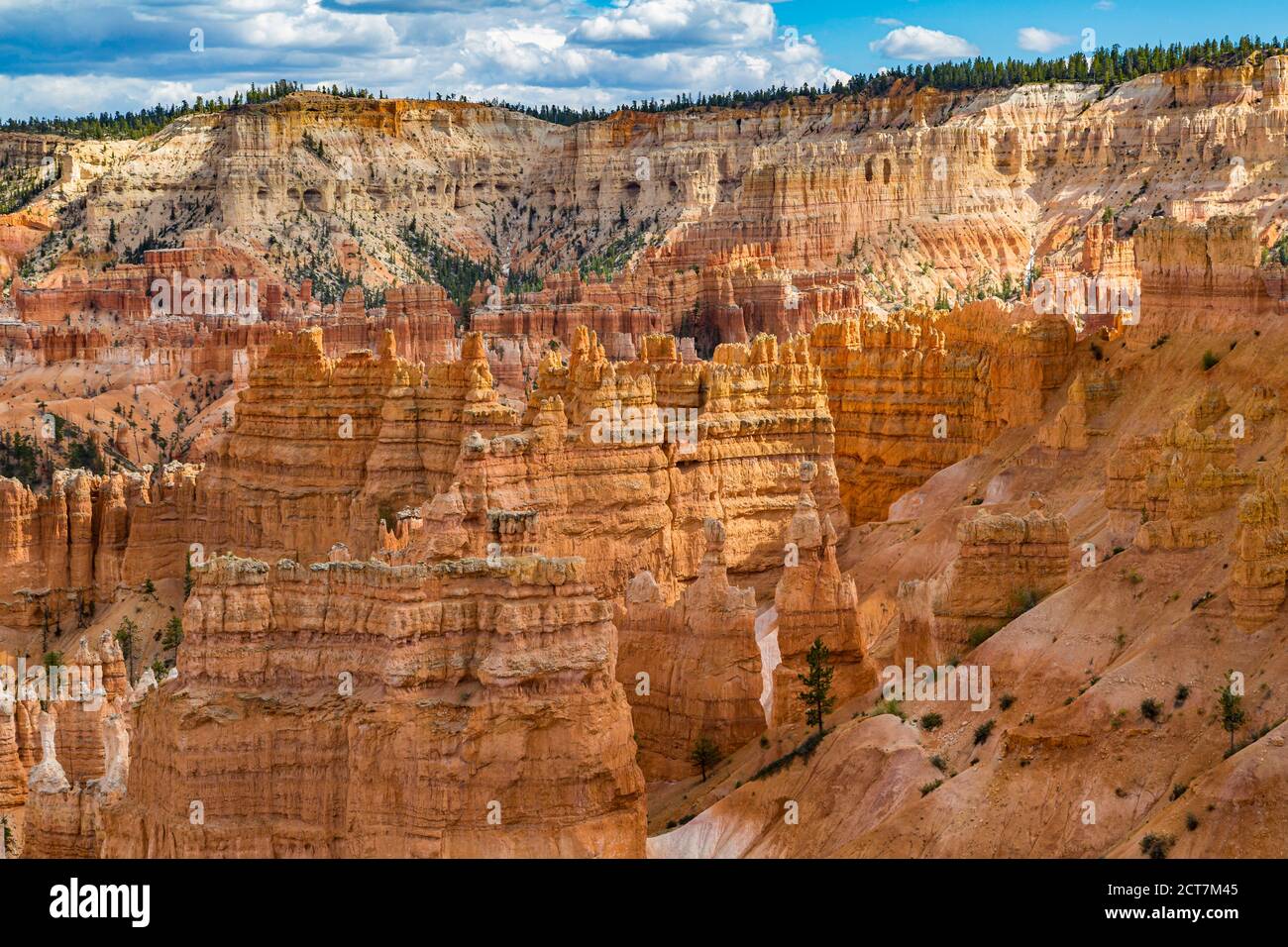 Sunset Point lookout in Bryce Canyon National Park in Utah Stock Photo ...