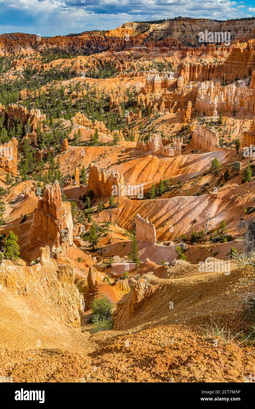 Sunset Point lookout in Bryce Canyon National Park in Utah Stock Photo ...