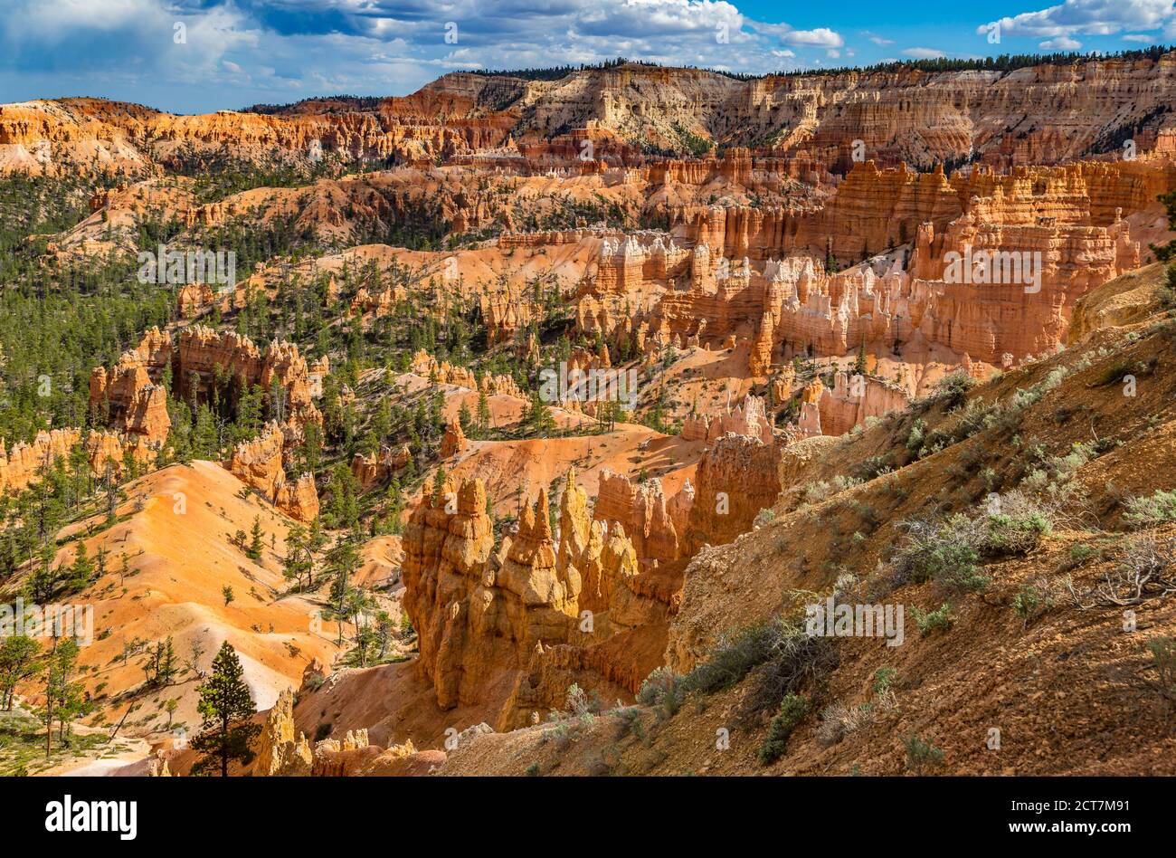 Sunset Point lookout in Bryce Canyon National Park in Utah Stock Photo ...