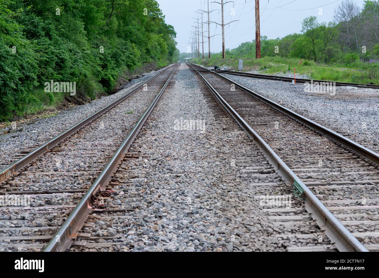 View of a double steel railroad tracks with trees on the side of the ...