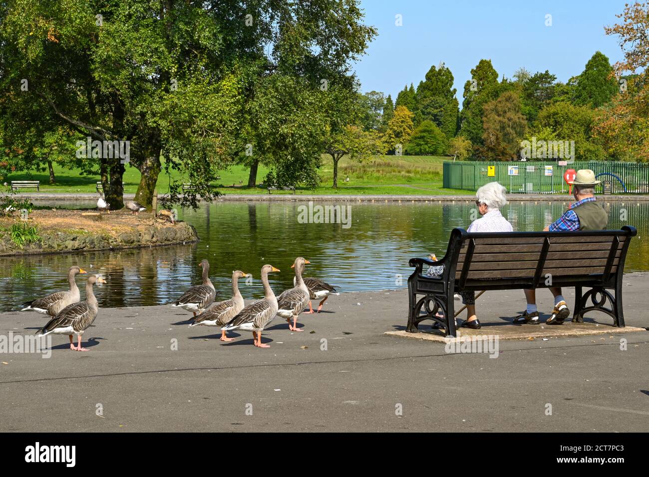 Aberdare park hi-res stock photography and images - Alamy