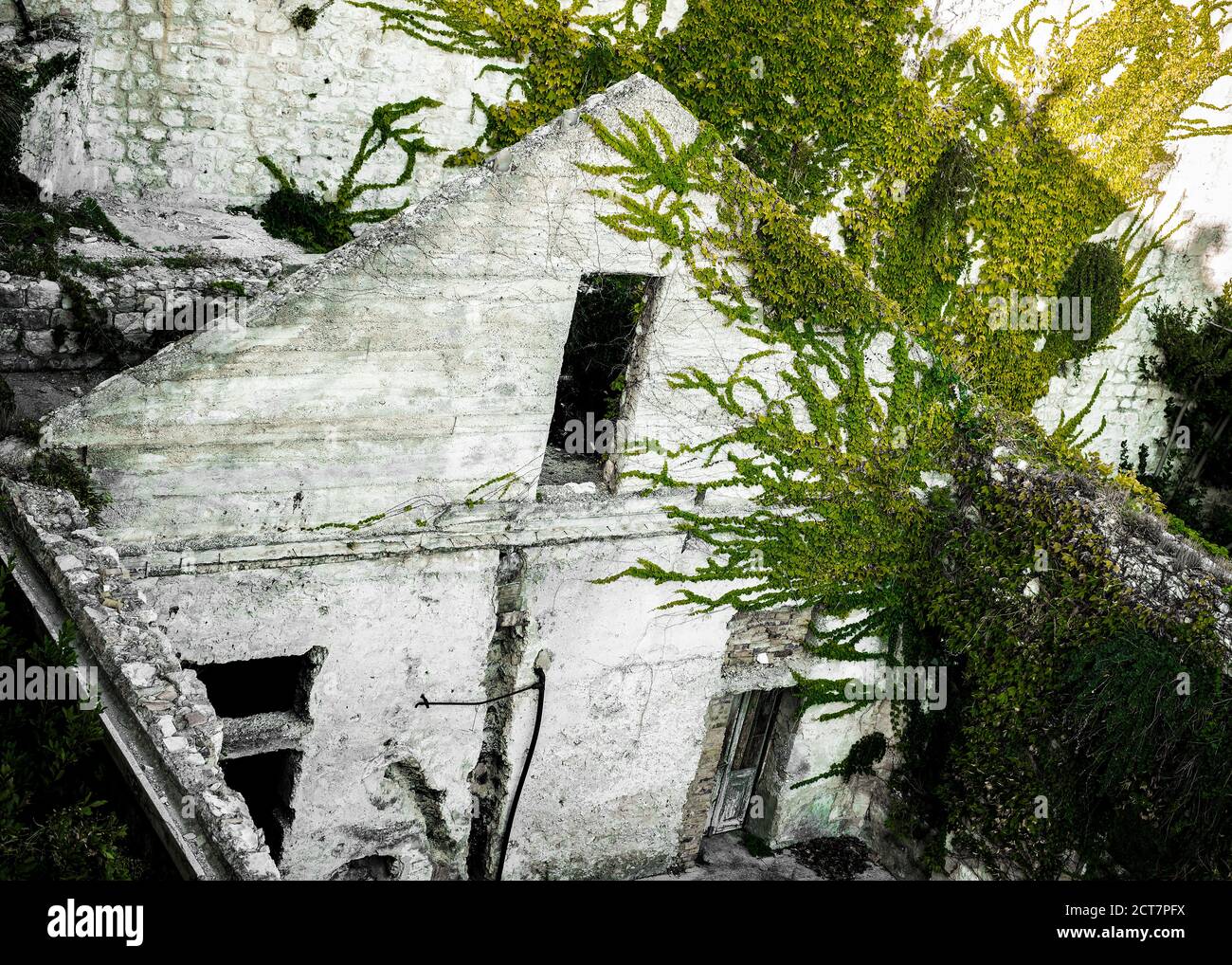 Old colorless walls of the destroyed building covered with creeping ...