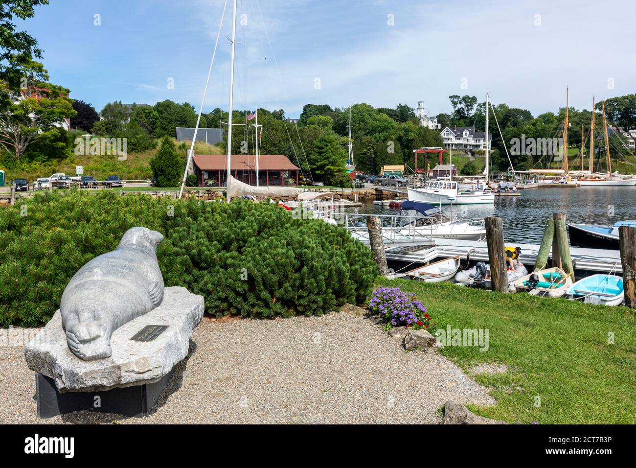 Andre the seal maine hi-res stock photography and images - Alamy