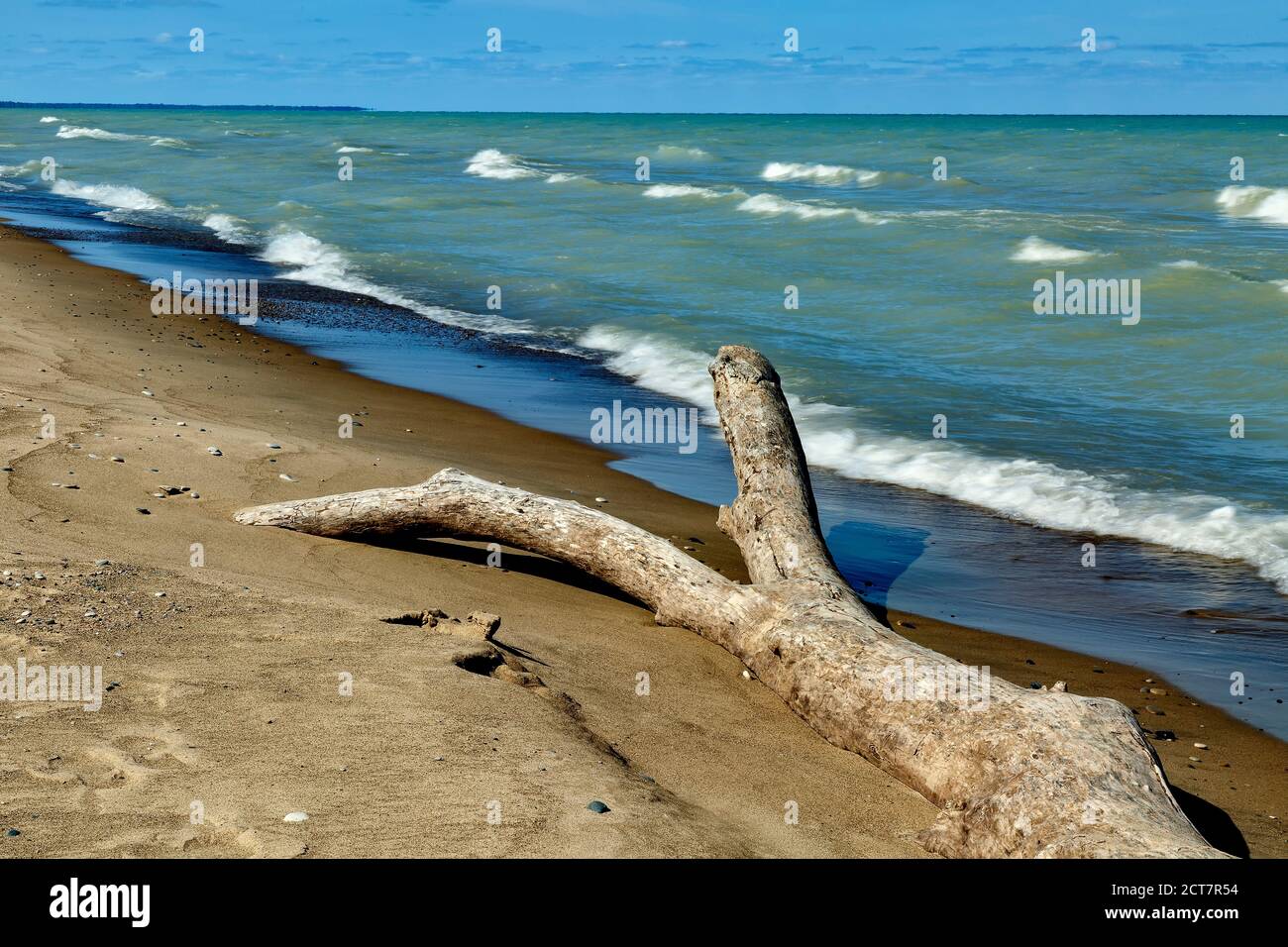 Shoreline with driftwood Lake Huron Pinery Provincial Park. Grand Bend ...