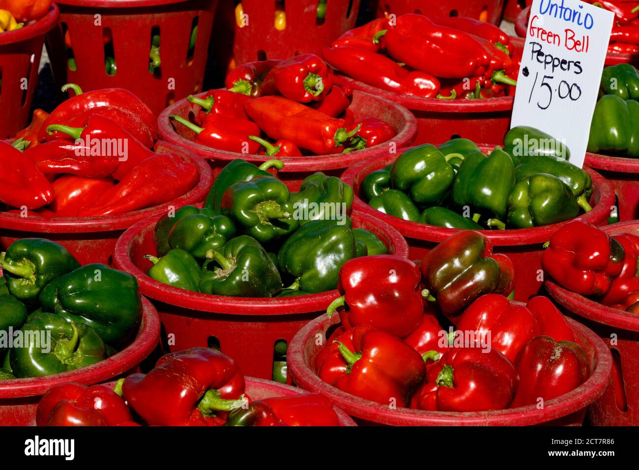 Bell Peppers for sale at outdoor market. Ontario Canada Stock Photo - Alamy
