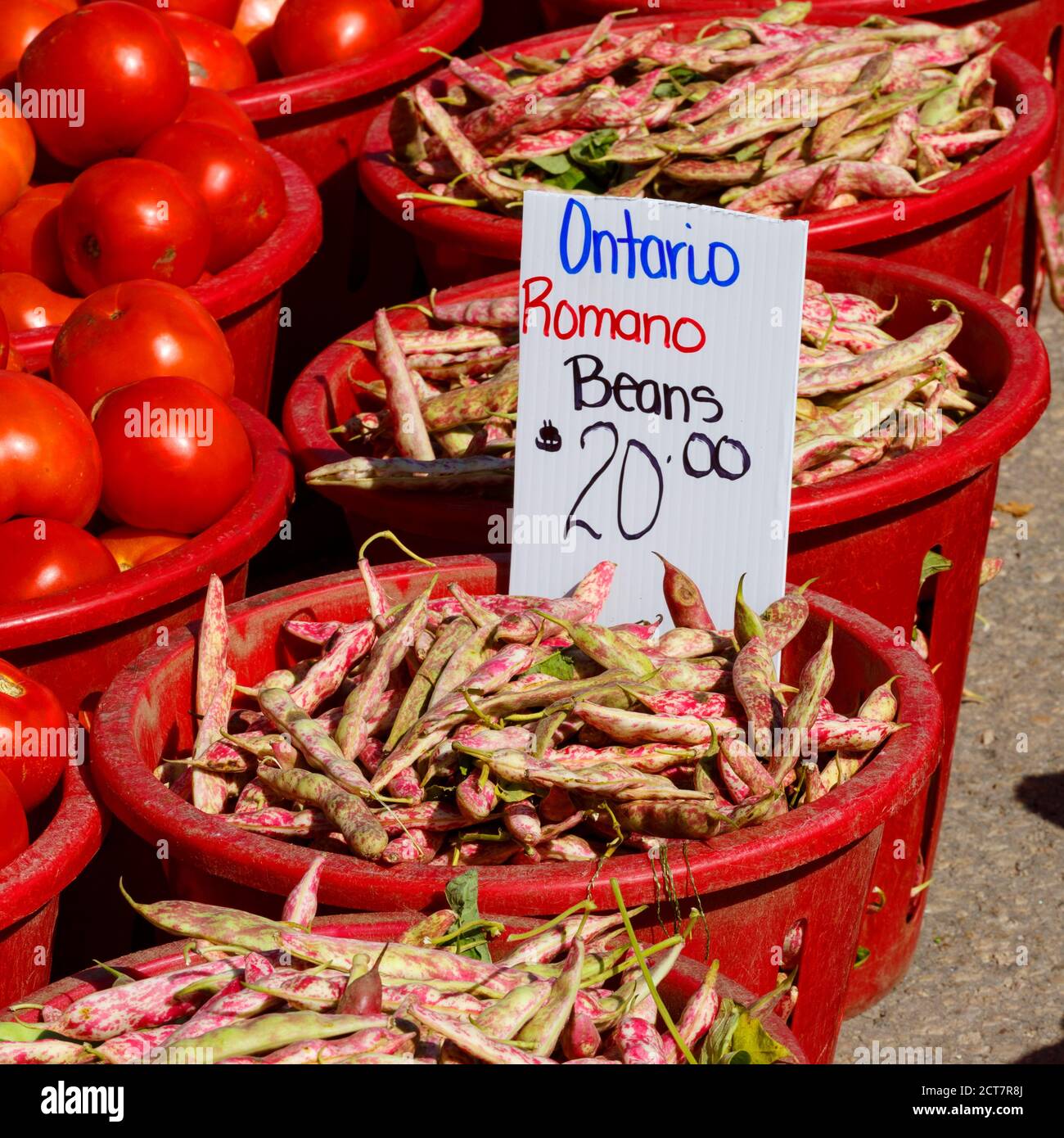 Fresh Romano Beans for sale at outdoor farmers market. Ontario Canada ...