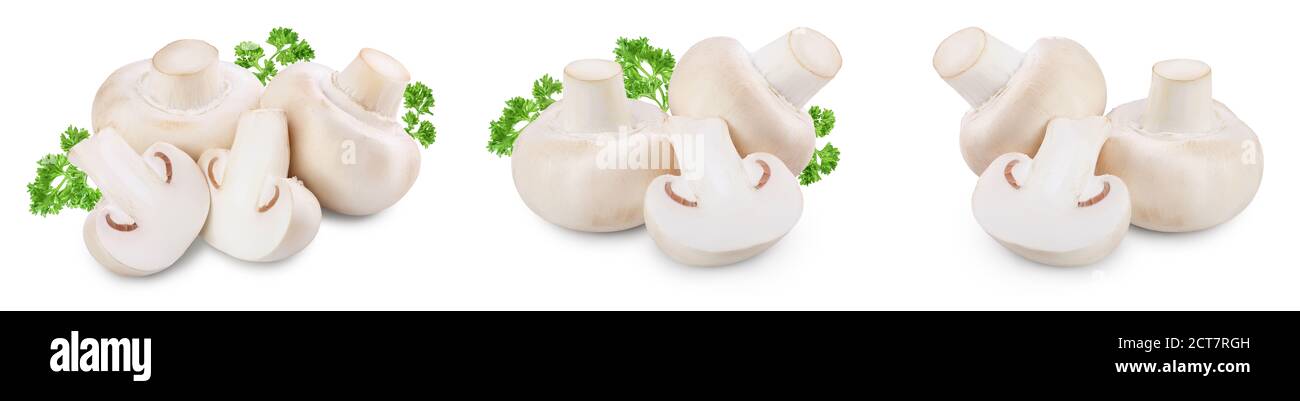 Fresh mushrooms champignon isolated on white background with clipping ...