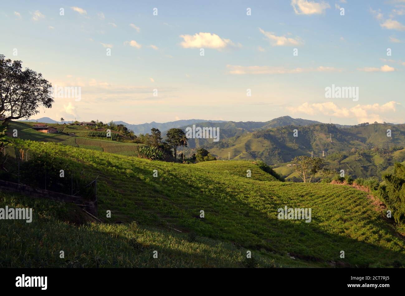 Colombia countryside hi-res stock photography and images - Alamy