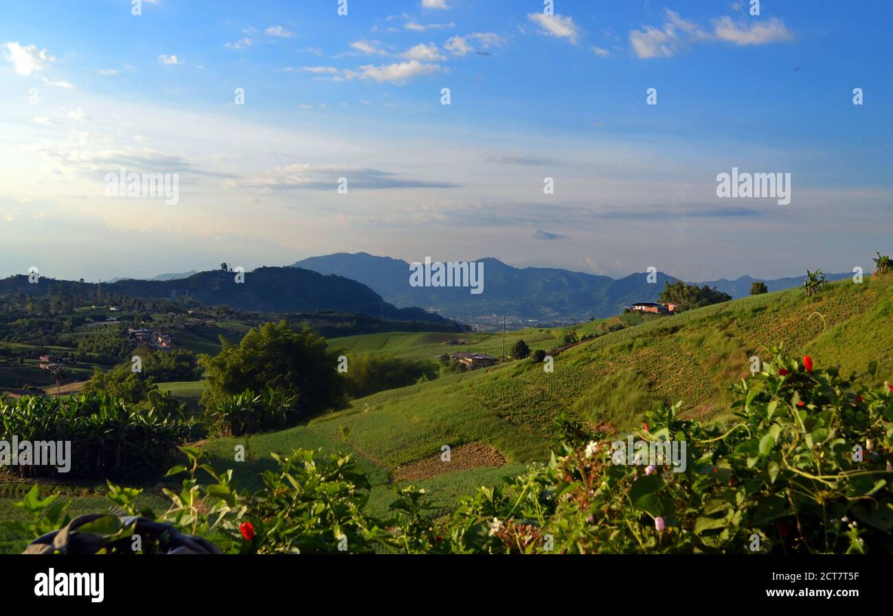 Pereira, Colombia - Countryside around La Bella Stock Photo - Alamy
