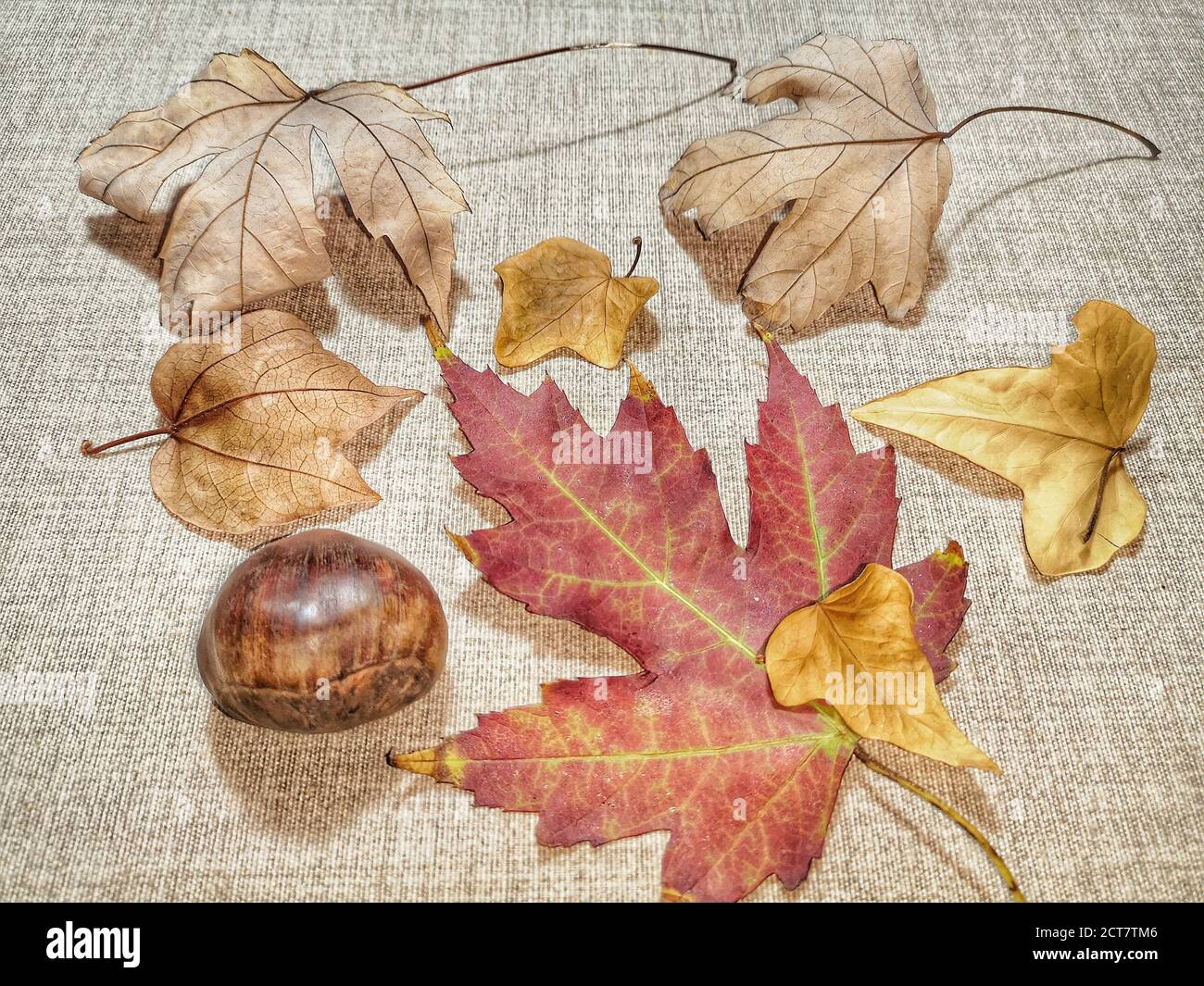 Natural background with autumn leaves and autumn's fruits Stock Photo ...