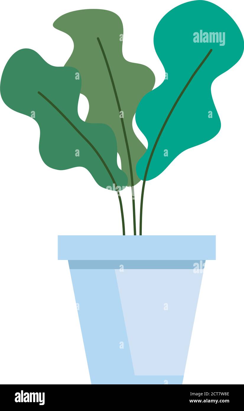 plant inside pot vector design Stock Vector Image & Art - Alamy