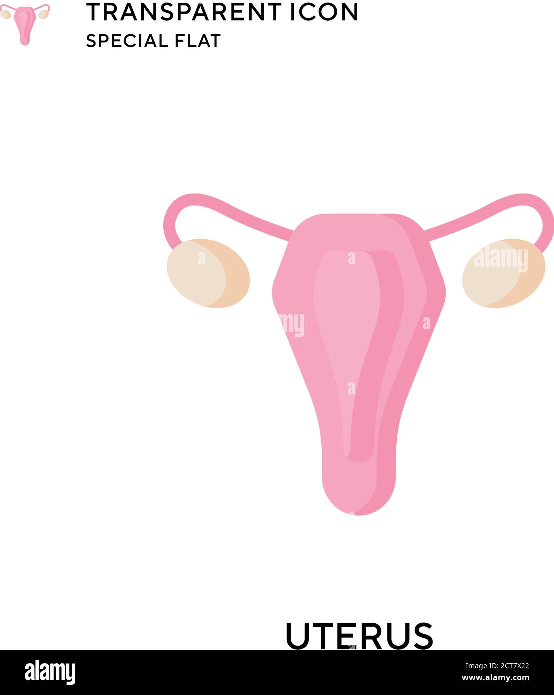 Endometrium Stock Vector Images - Alamy