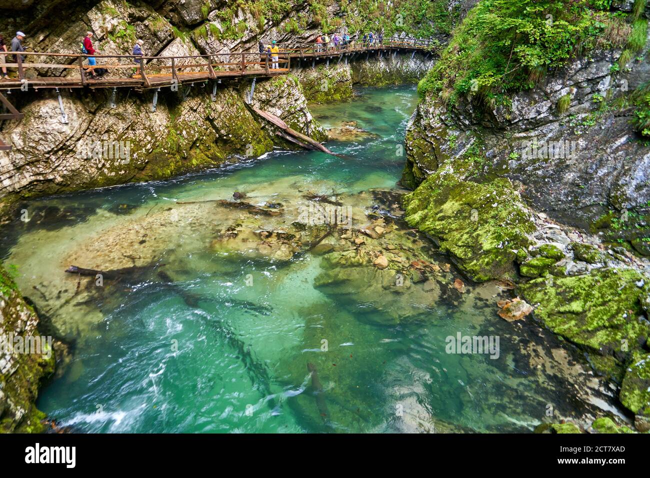 Vintgar Gorge, Bled, Slovenia Stock Photo - Alamy