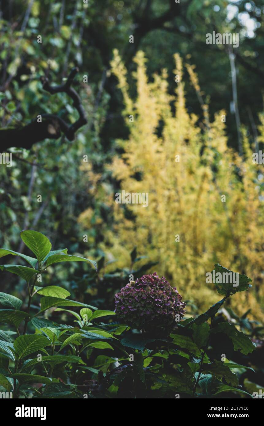 Beautiful vertical shot of a natural scenery Stock Photo - Alamy