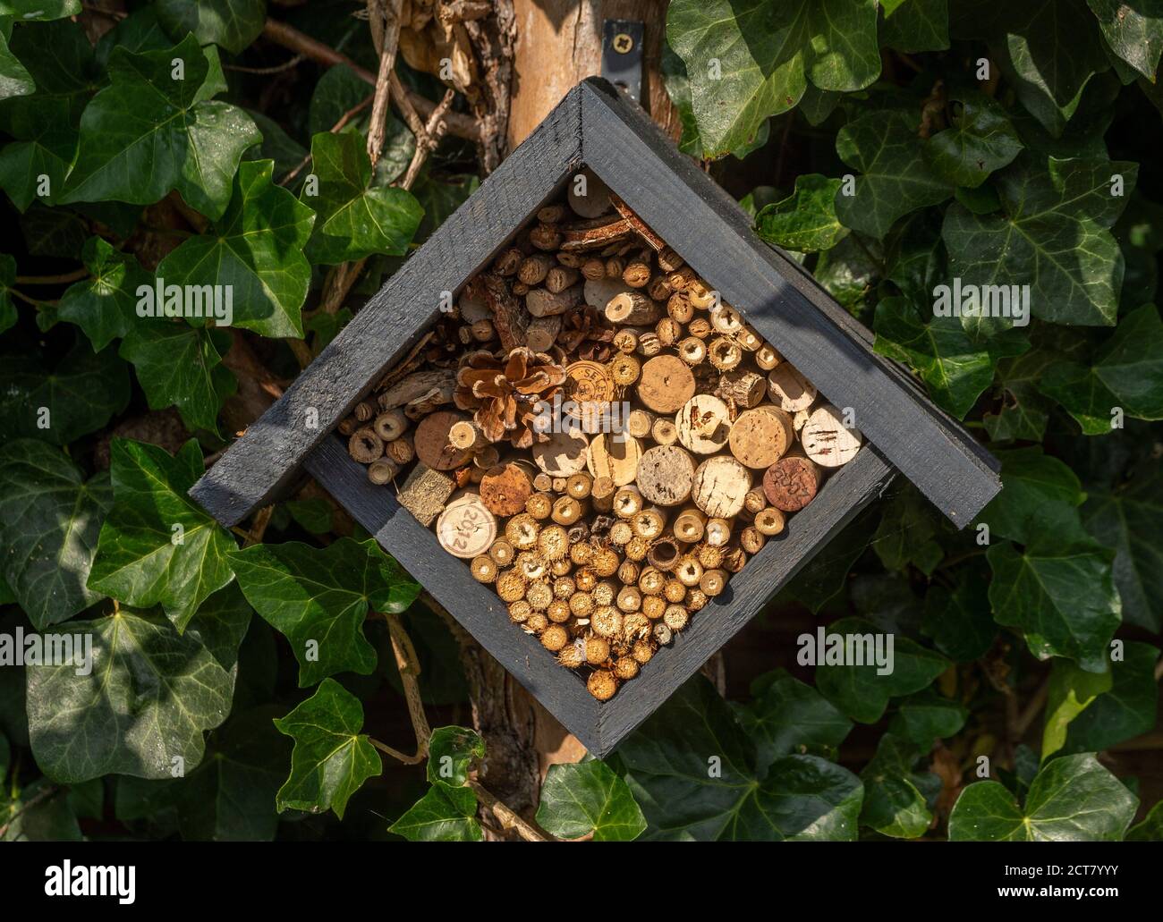 Closeup of a hibernaculum, commonly know as a bug hotel, attached to a ...
