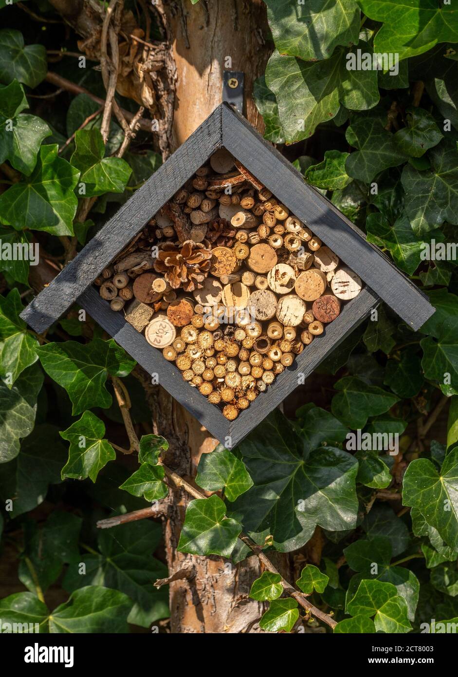 Closeup of a hibernaculum, commonly know as a bug hotel, attached to a ...