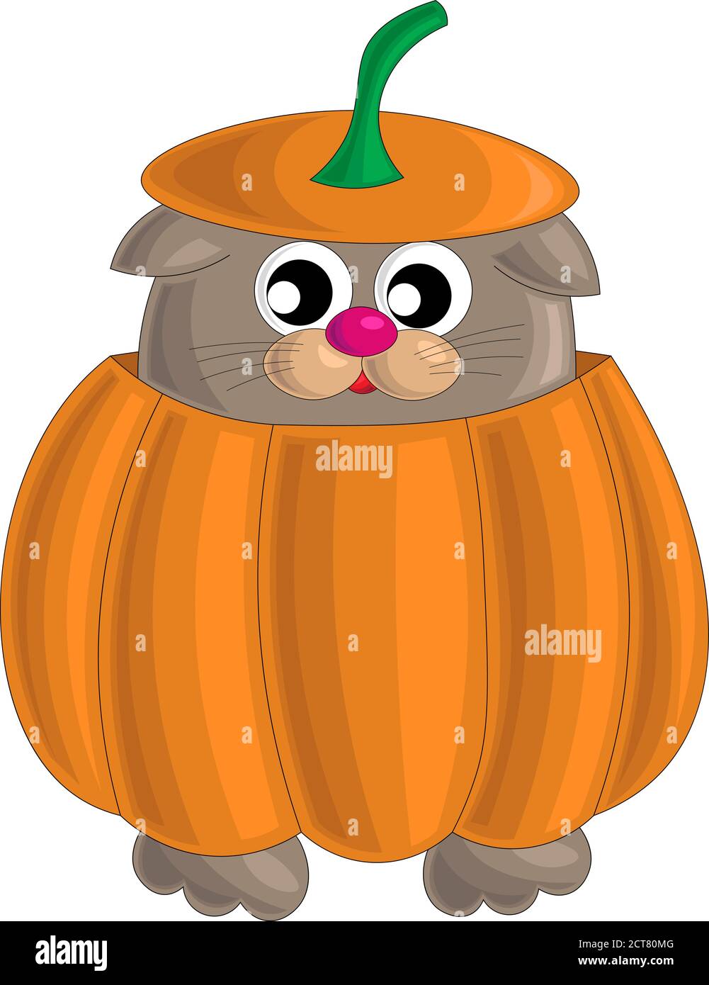 Cute little cat in box Cut Out Stock Images & Pictures - Alamy