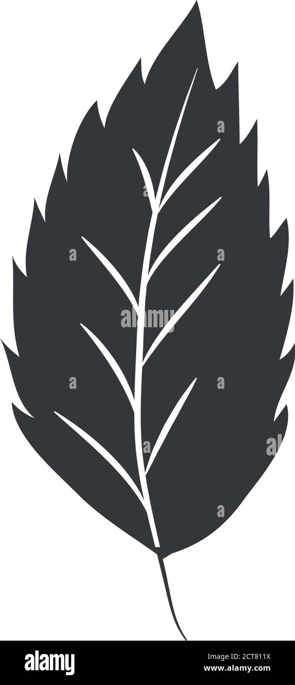 autumn leaves concept, elm leaf icon over white background, silhouette ...