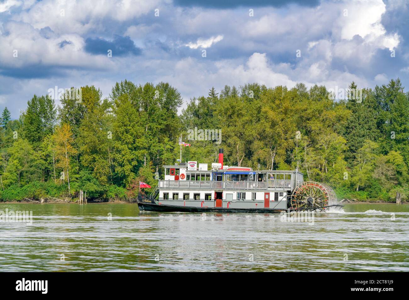 Paddlewheeler Riverboat, M.V. Native, Fraser River, Langley, British ...