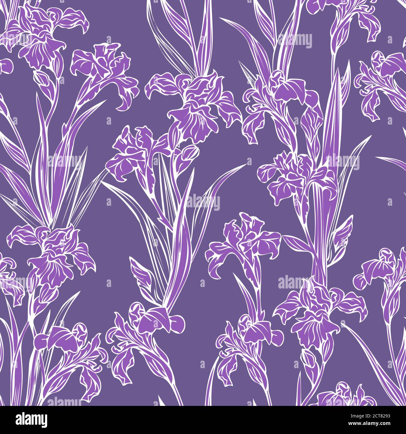 Vector iris hi-res stock photography and images - Alamy