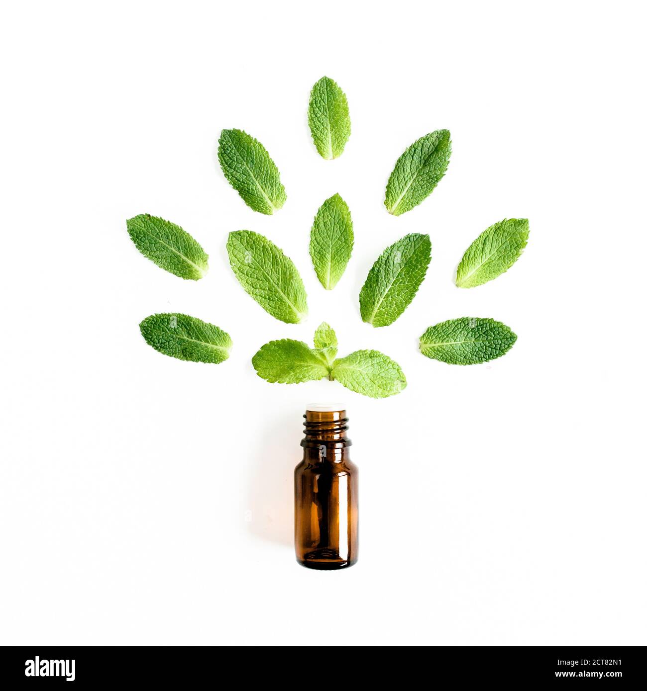 Essential oil and greenmint leaves on white background. Medicinal herbs ...