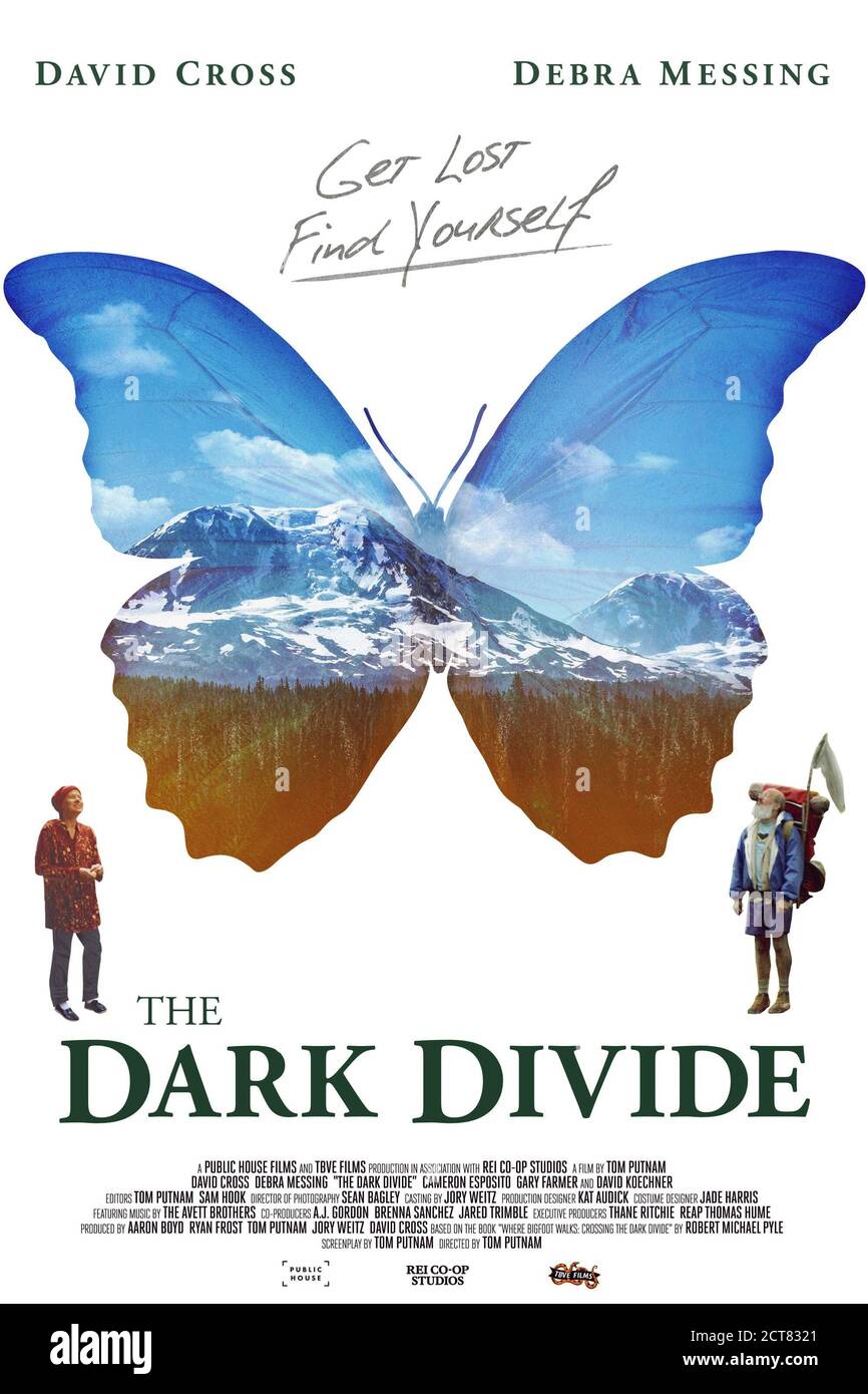 THE DARK DIVIDE, poster, from left: Debra Messing, David Cross, 2020 ...