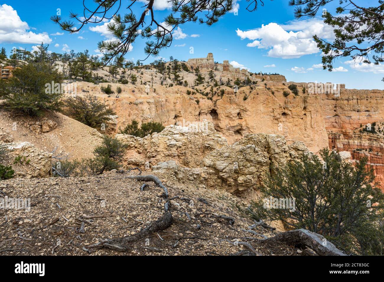 Pariah View lookout in Bryce Canyon National Park in Utah Stock Photo ...